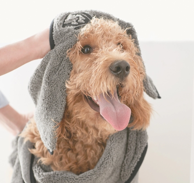 Norwex Dog Mat at Garrett Kirk blog